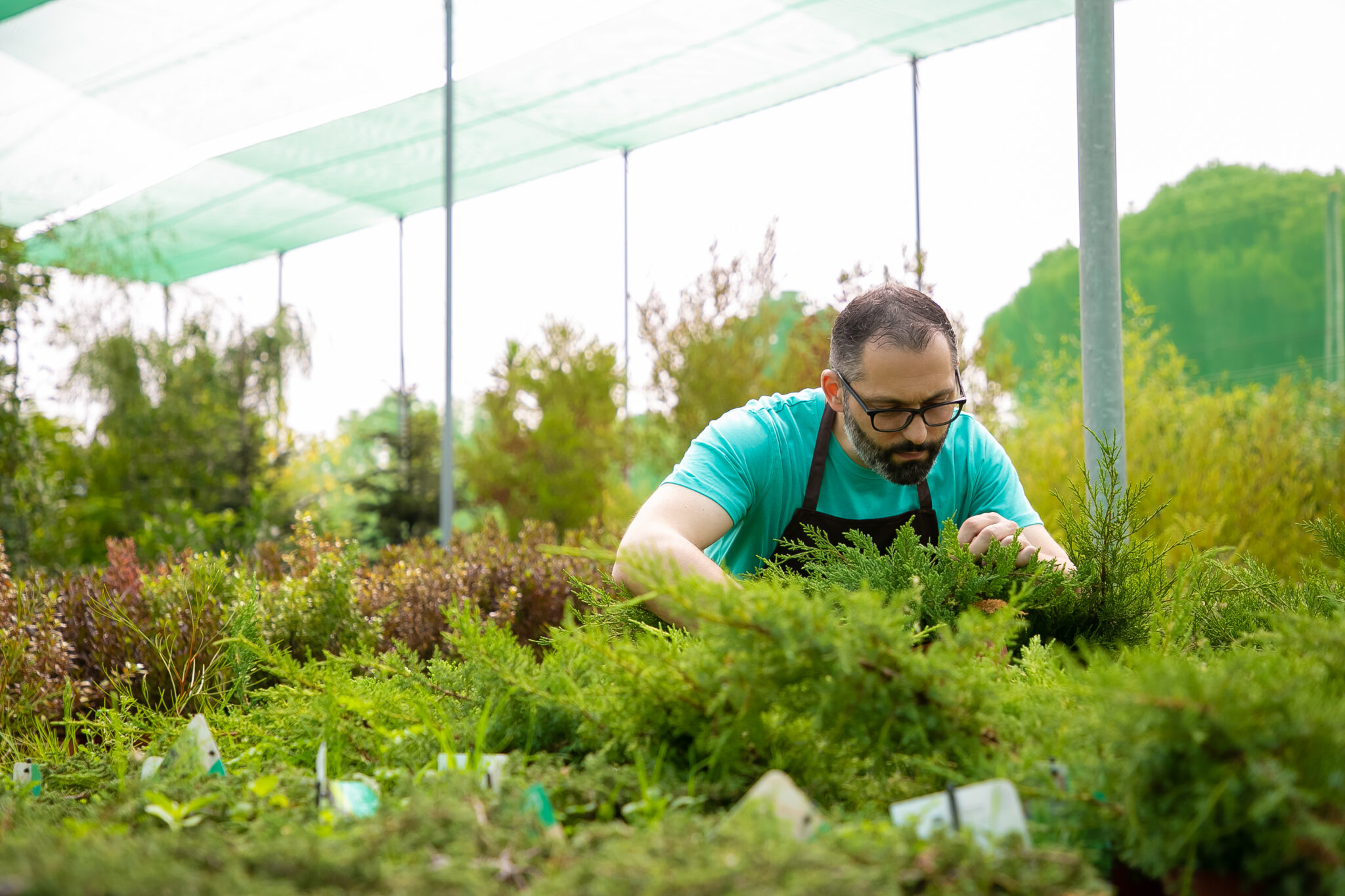 Top 7 Benefits of Investing in a Farmland
